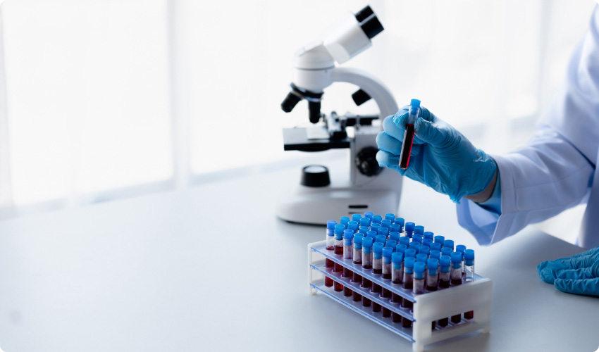 Bacteria Detection – Wafa Biological Laboratory